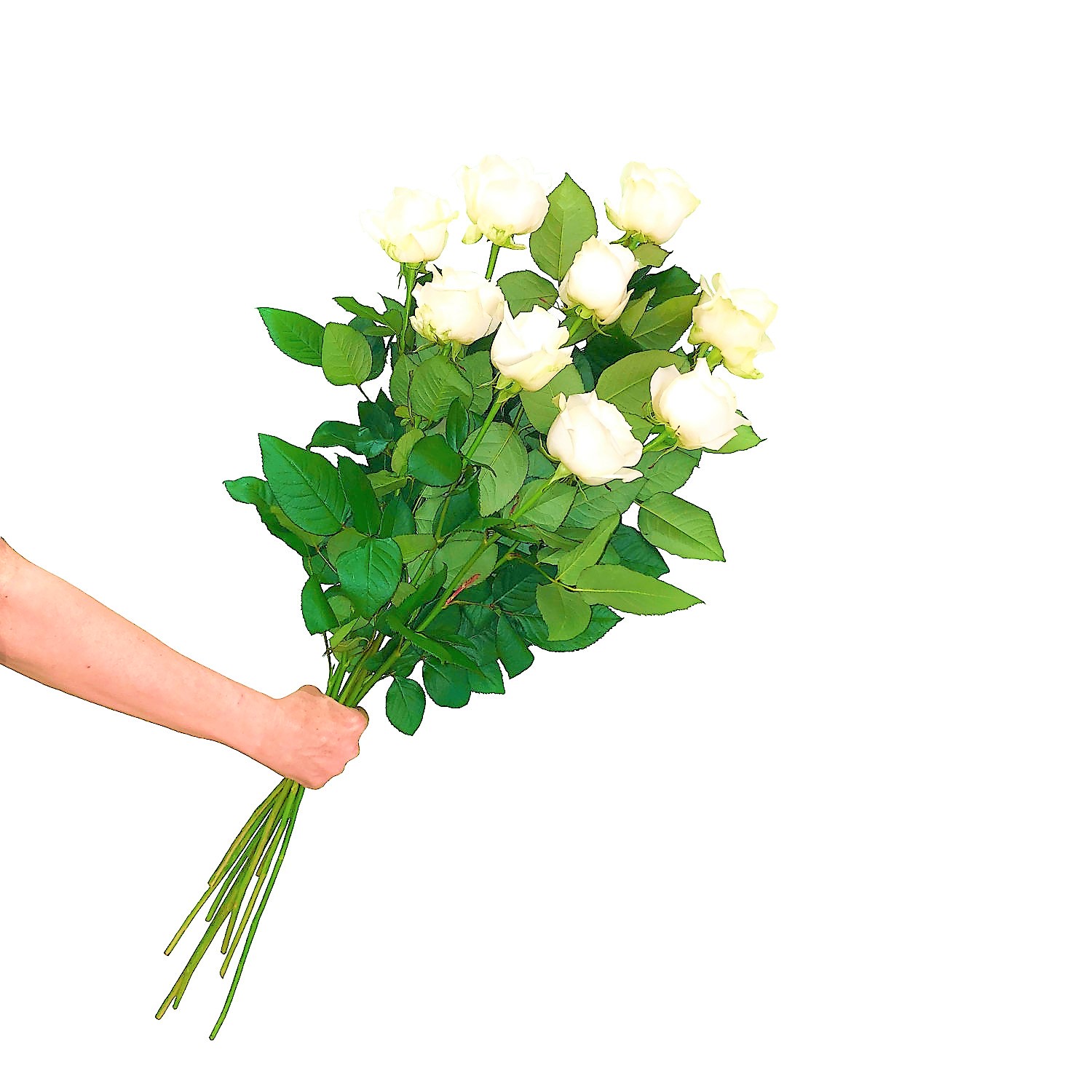 Bouquet grandes roses blanches 70cm - Nos fleurs | Floralia