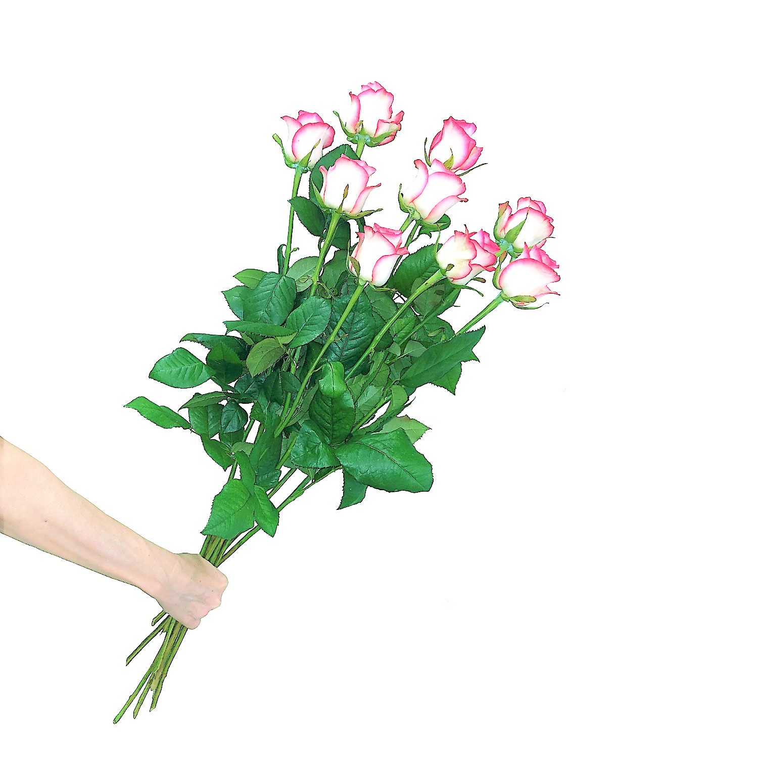 Bouquet grandes roses roses 70cm - Nos fleurs | Floralia
