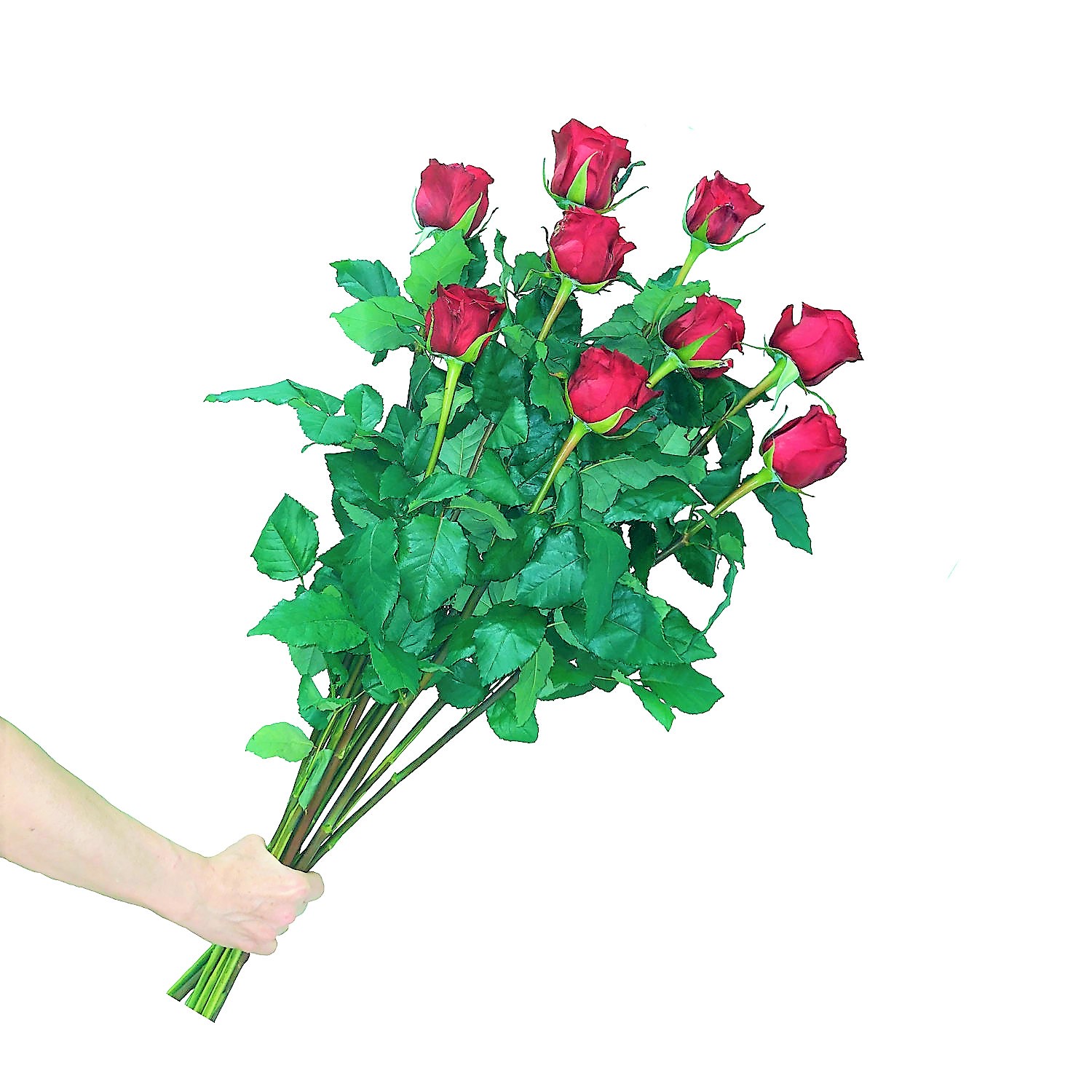 Bouquet grandes roses rouges 70cm - Nos fleurs | Floralia